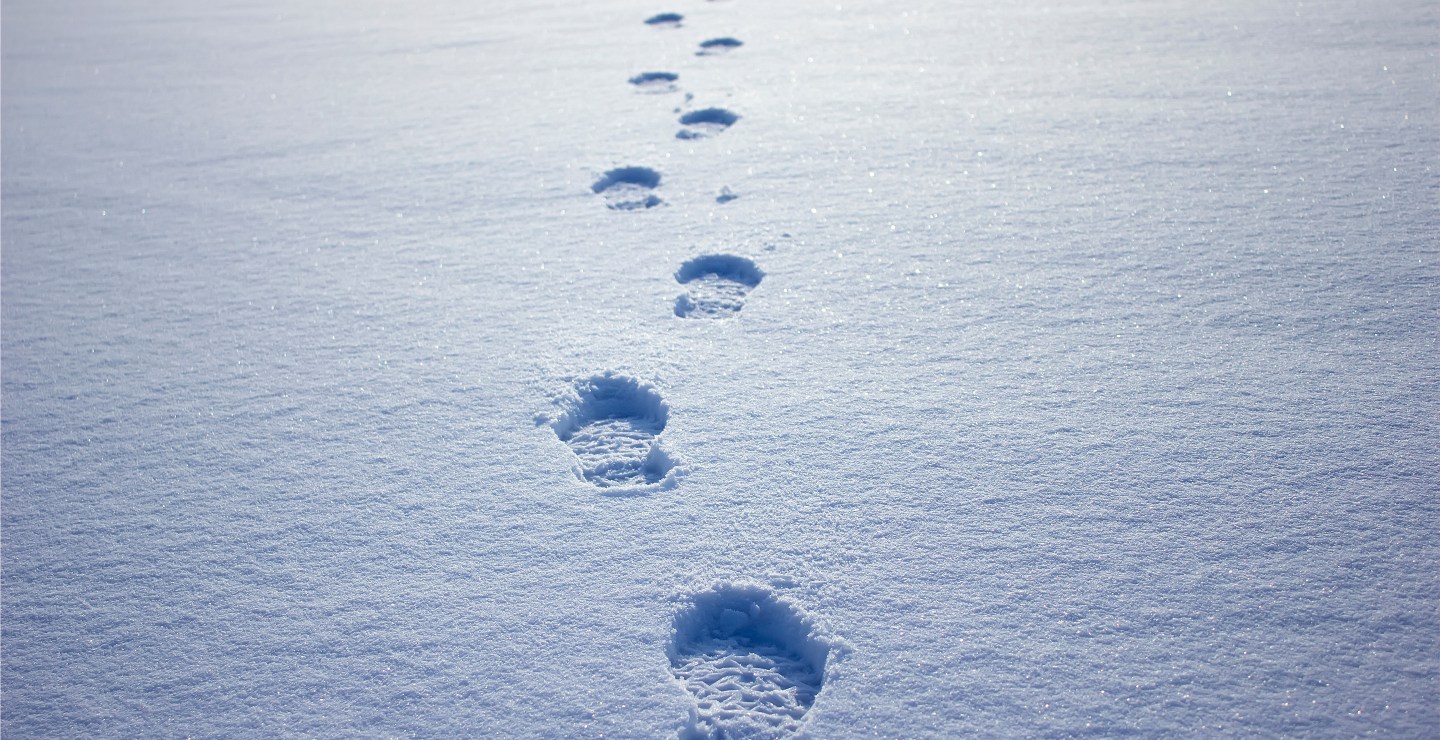 Hiker, Suffering From Hypothermia, Survives Getting Trapped In Waist ...