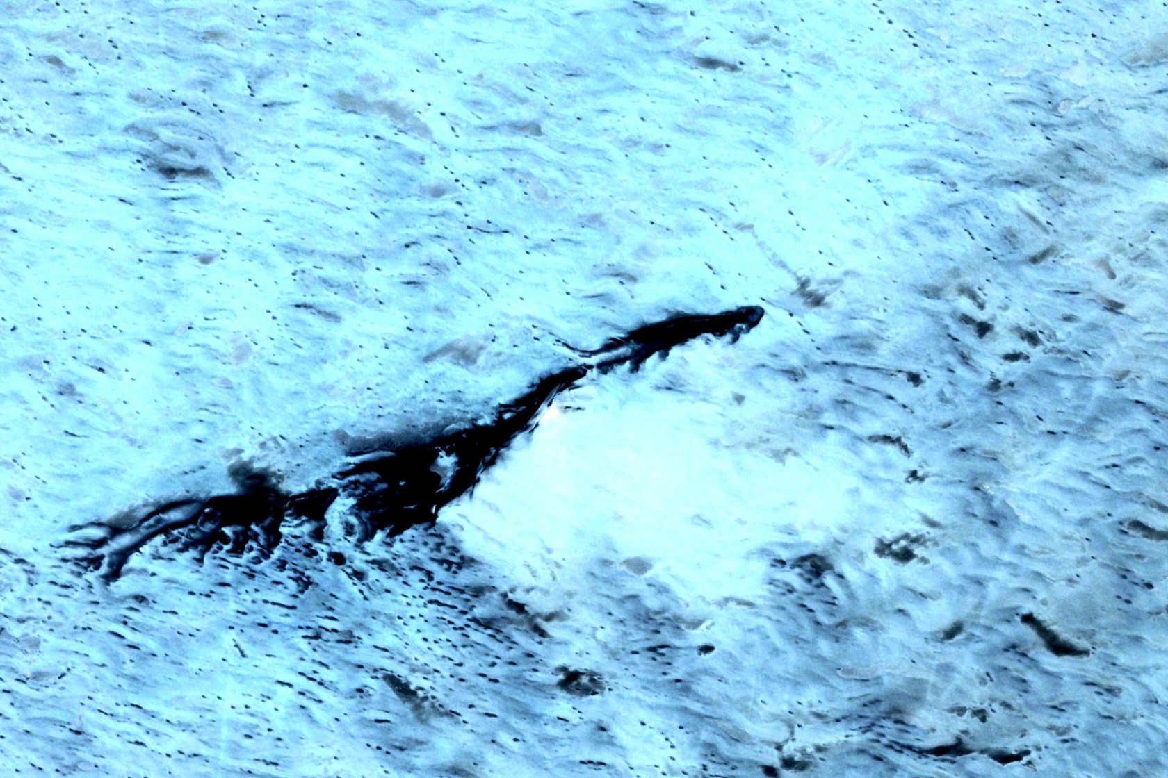 Scientists Reveal The Likely Truth Behind The Loch Ness Monster - Wide ...