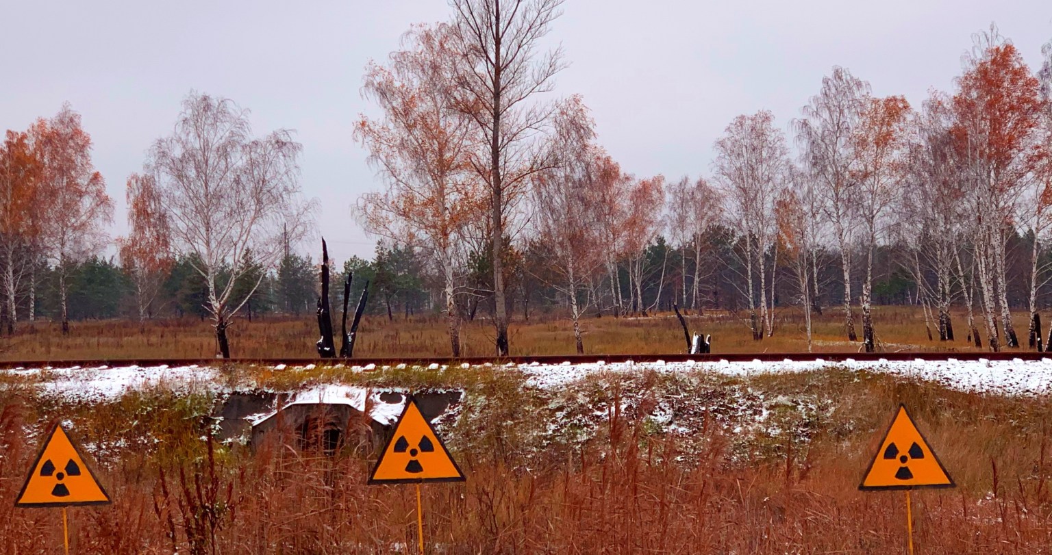 Radiation At Chernobyl Is Mutating One Species In A Very Peculiar Way ...