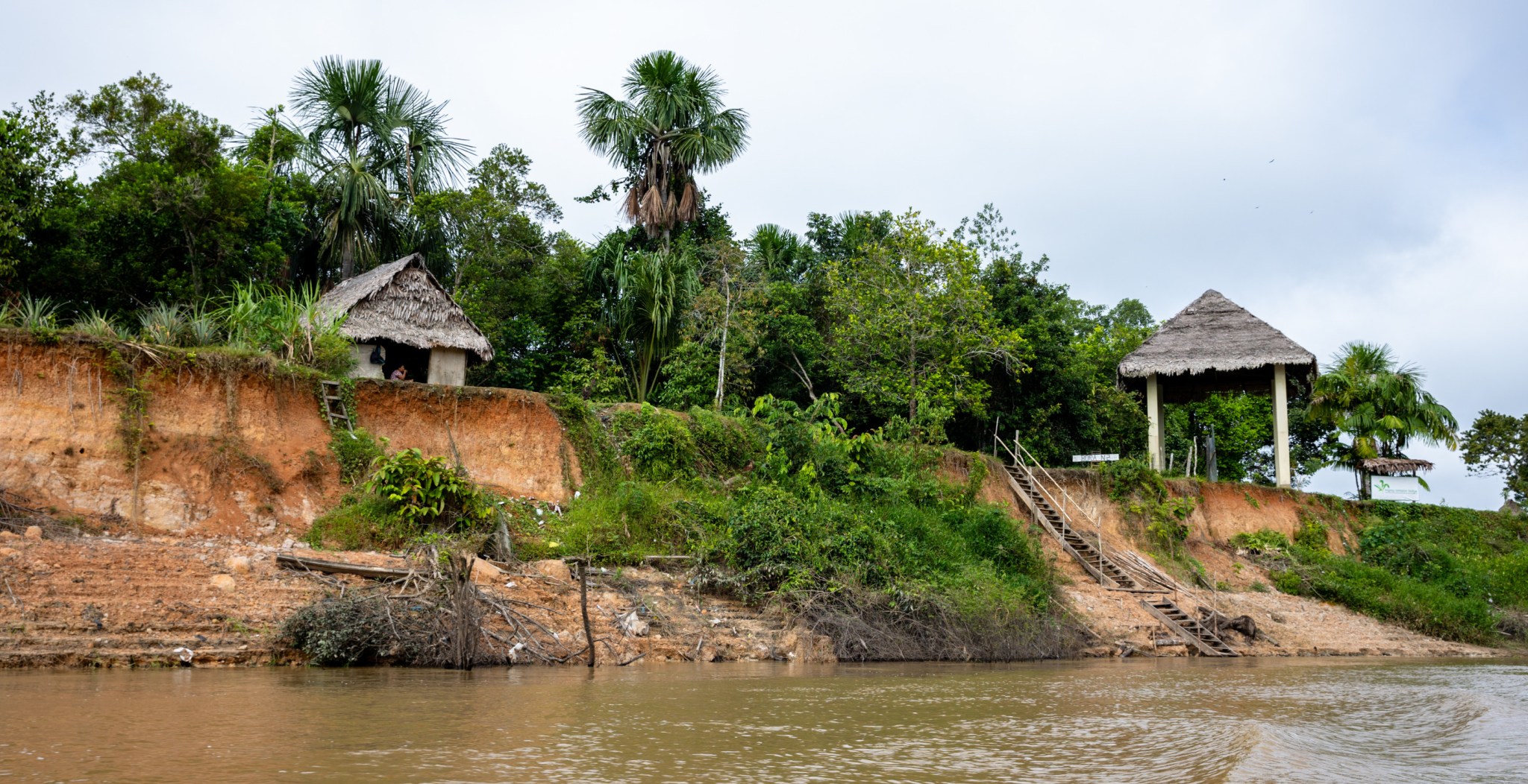 Traveler, Who Spent Five Days Living With Tribe In Amazon Jungle ...