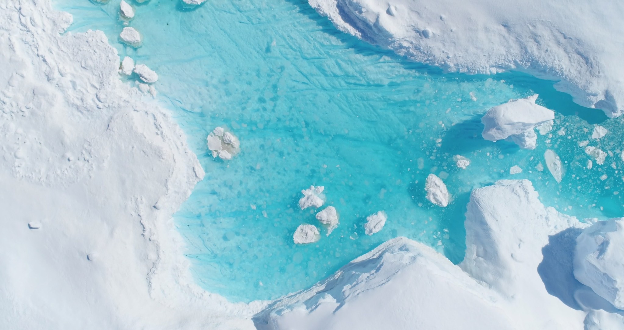 Scientists Discover Secret Ecosystem Living Under Antarctic Frozen Lake ...