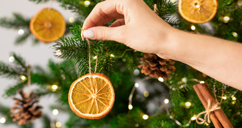 How To Decorate A Wildlife Friendly Tree - Wide Open Spaces