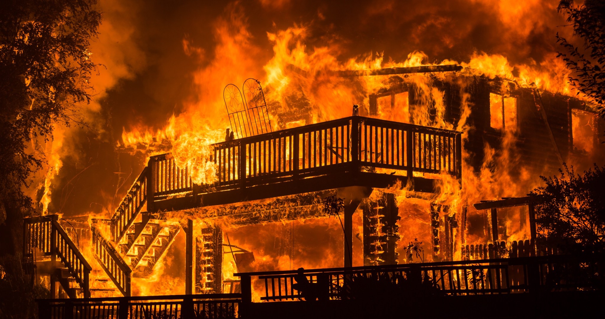 How 100 Pound Tortoise Survived The Wildfire In California - Wide Open ...