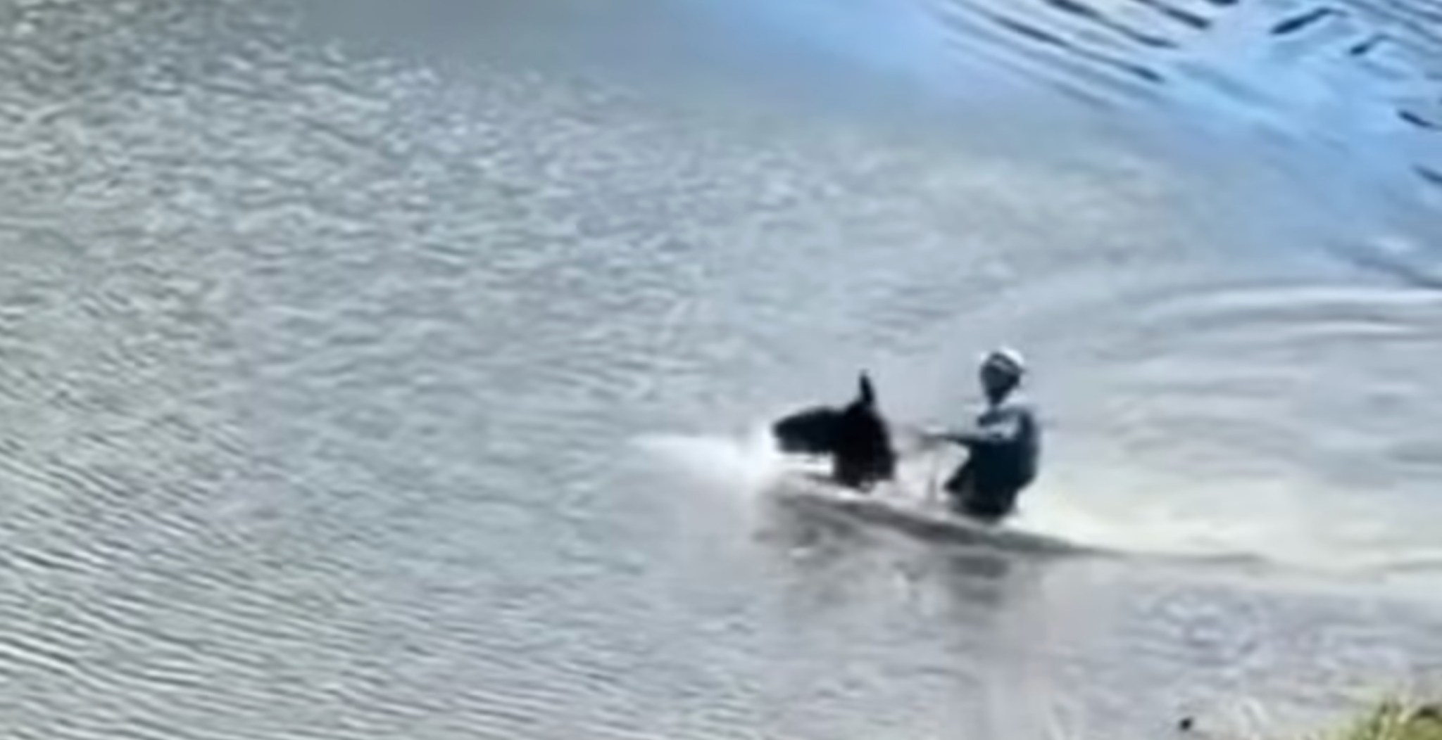 Disturbing Video Of Drowning Horse Leads To Feud Between 'Ice Road ...