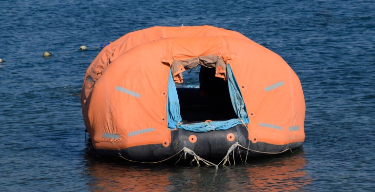 Whale Watcher, Who Survived 67 Days Adrift At Sea, Arrested For Deaths ...