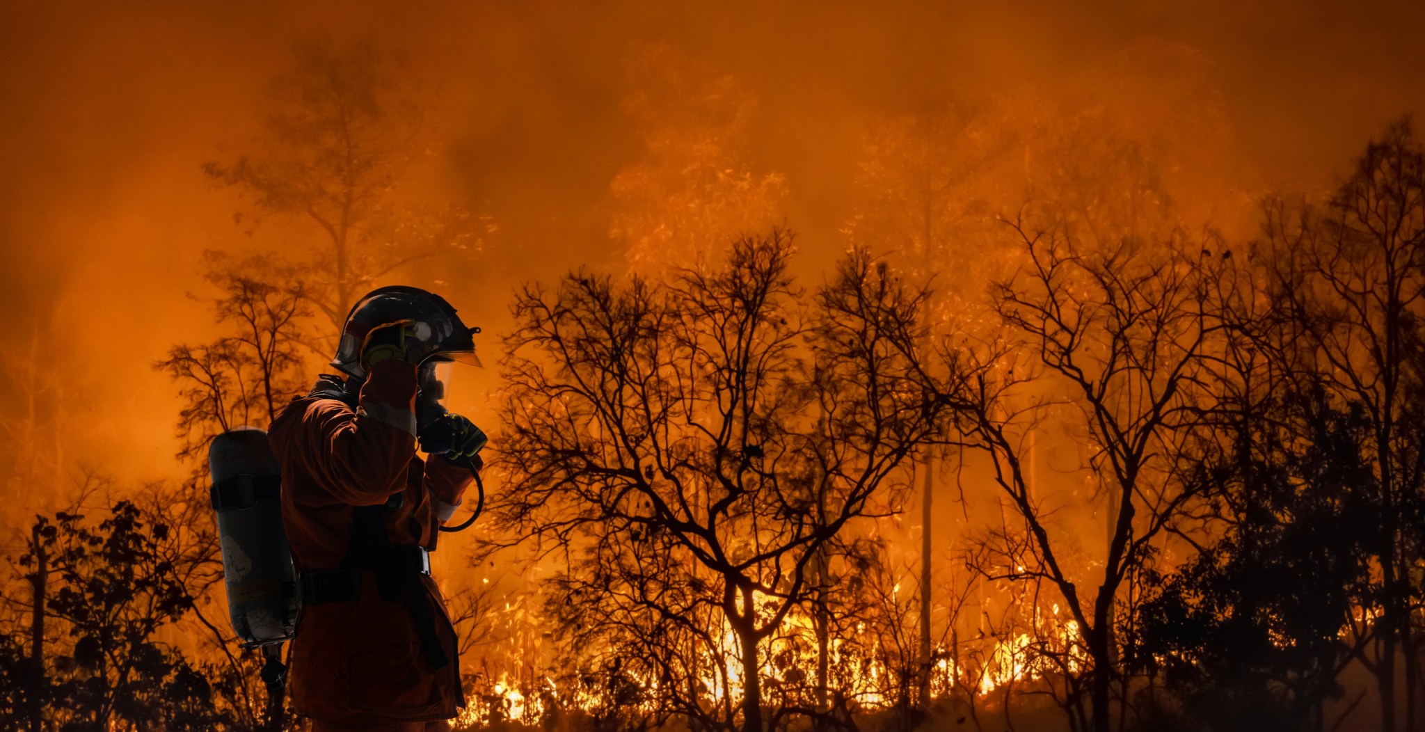 Woman, Who Evacuated California Wildfires, Describes Haunting Sight Of ...
