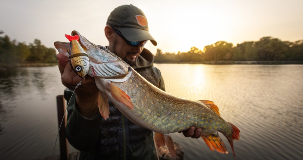 Mistakes To Avoid Ruining Freshly Caught Fish - Wide Open Spaces