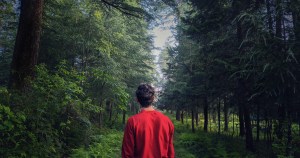 Survival 101: What To Do When You're Lost In The Woods - Wide Open Spaces