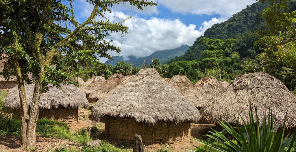 Member Of Isolated Tribe Briefly Makes Contact With The Modern World ...
