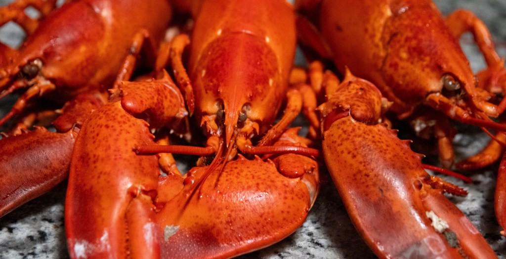 Turns Out Lobsters And Crabs Can Feel Pain When Being Boiled Alive ...