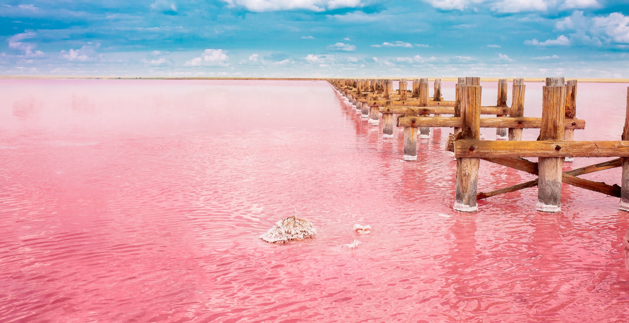 Visit One Of The World's Deadliest Lakes That Will Turn Animals To ...
