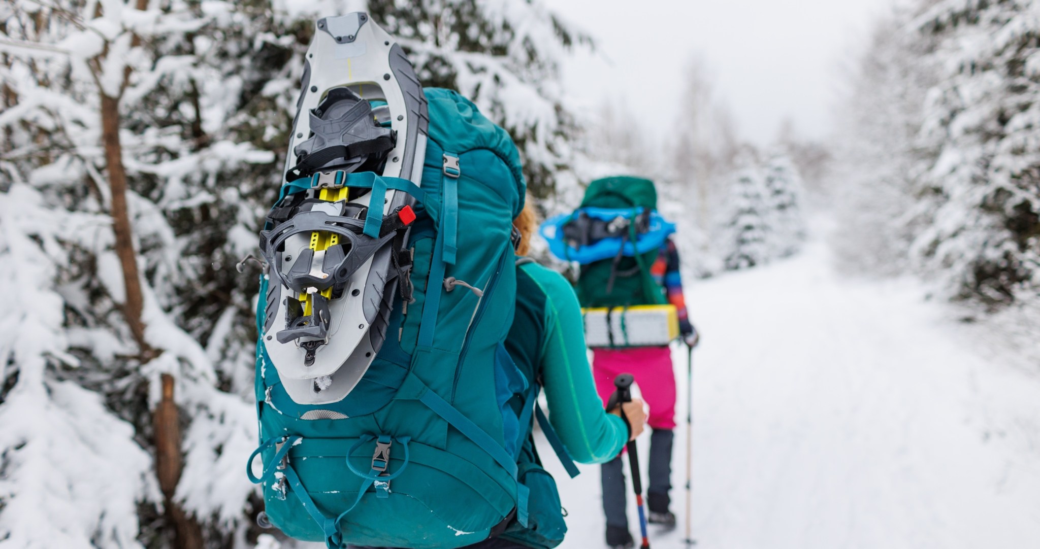 California Hikers Survive 2 Nights In The Frozen Wilderness After ...