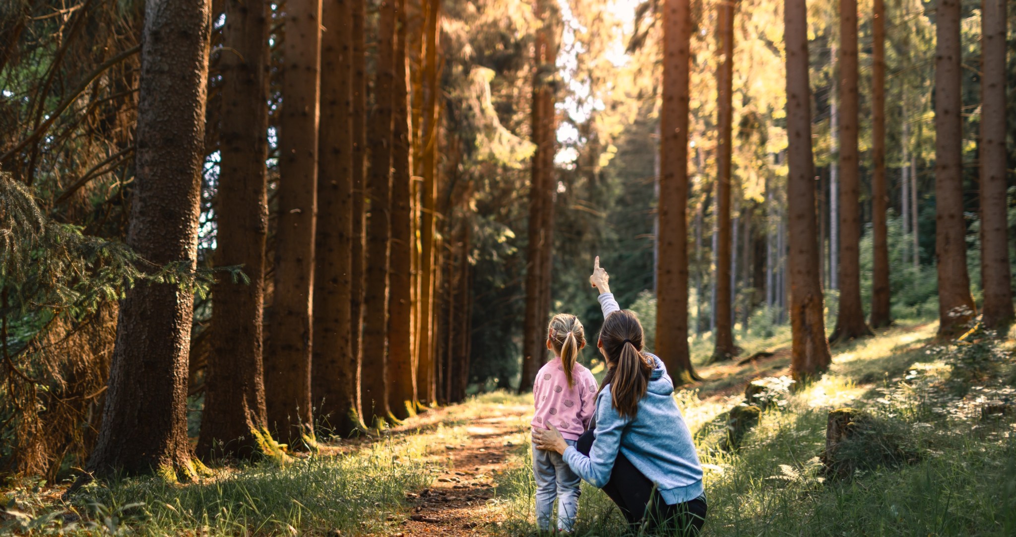 Top 7 Family-Friendly Outdoor Skills Every Child Should Learn - Wide ...