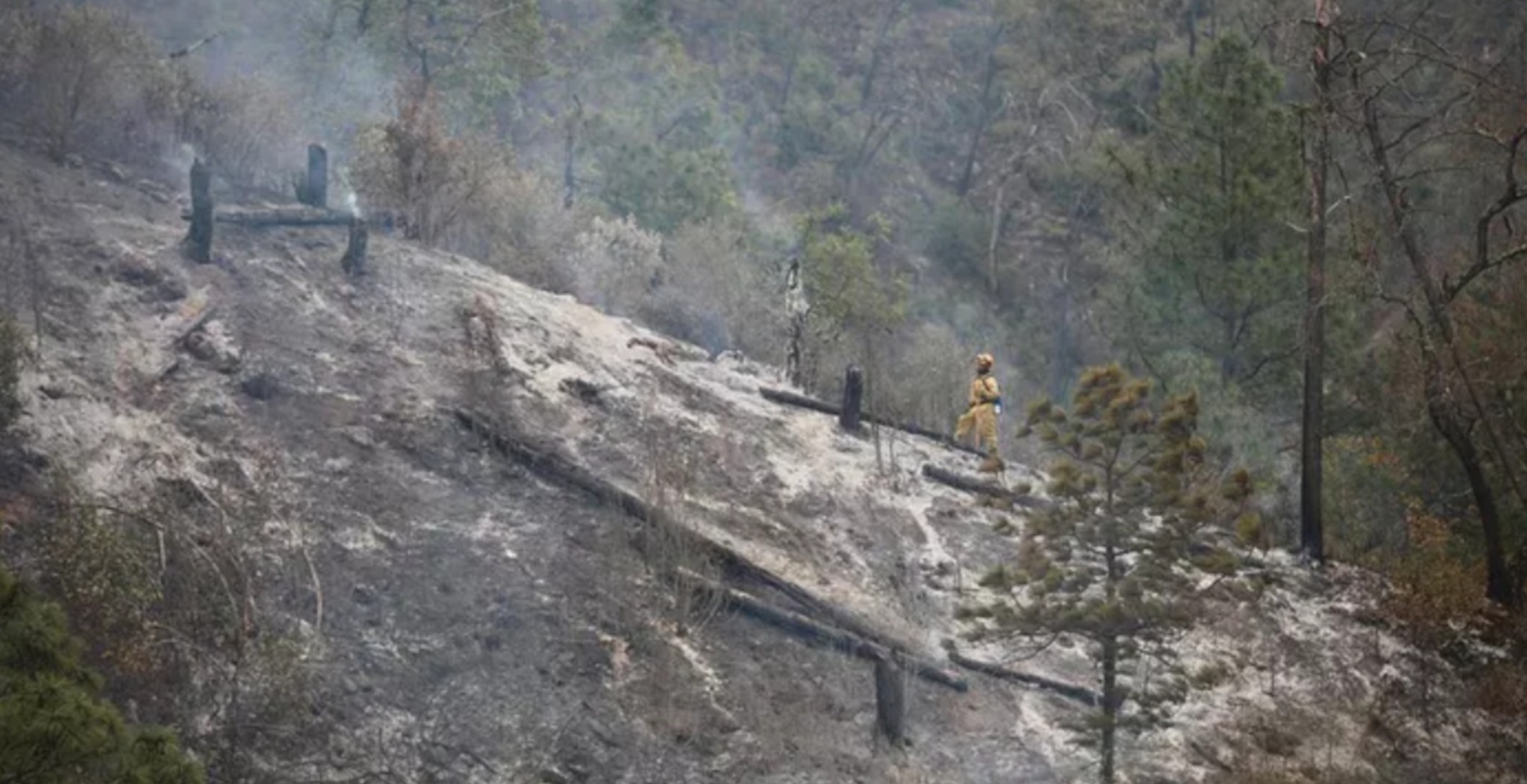 Several Members Of Family Die After Driving Their Van Into A Ravine ...