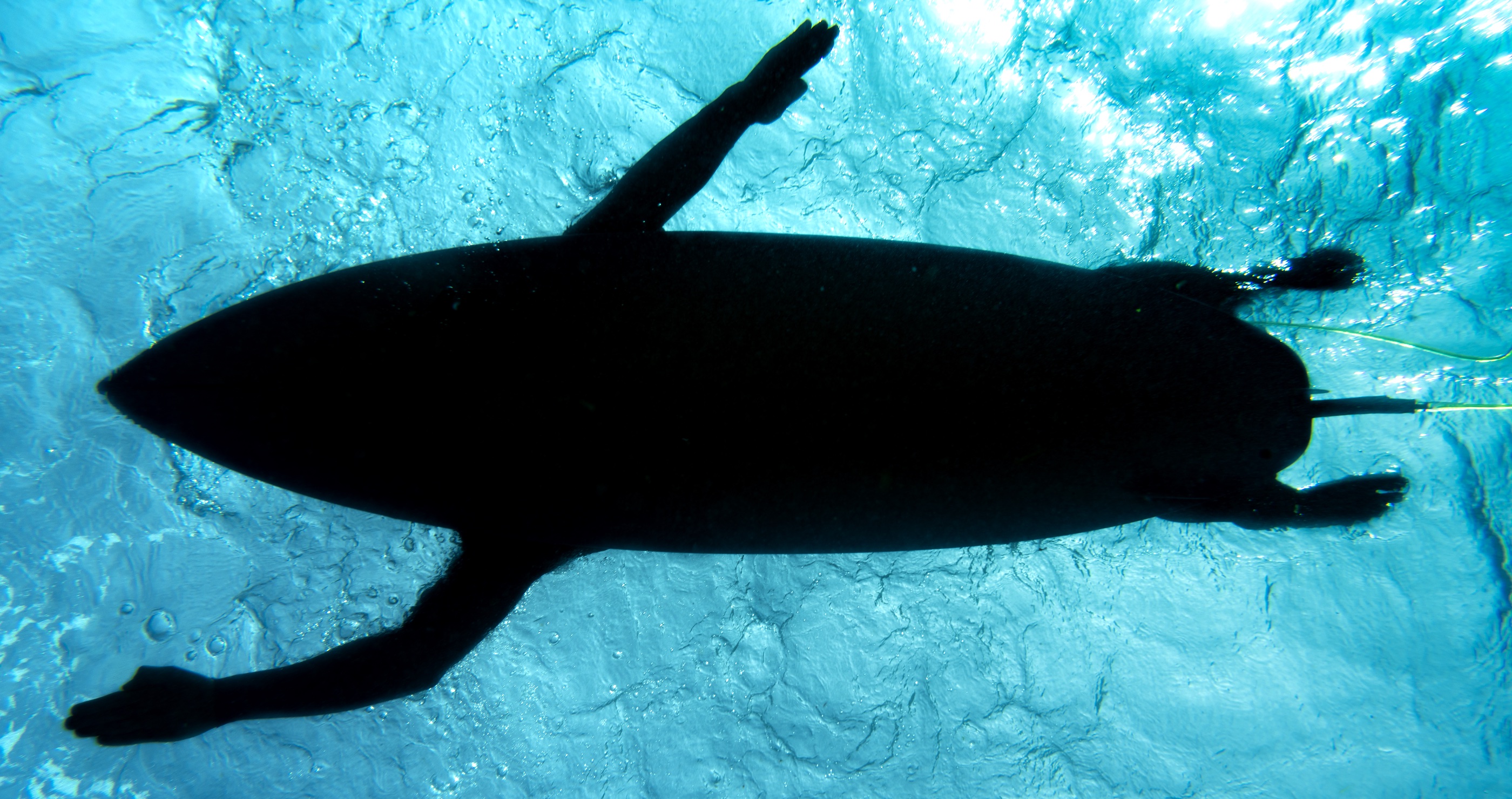 Surfer Attacked By Shark In Australia Is Presumed Dead After Drone Footage Shows Aftermath Of ...