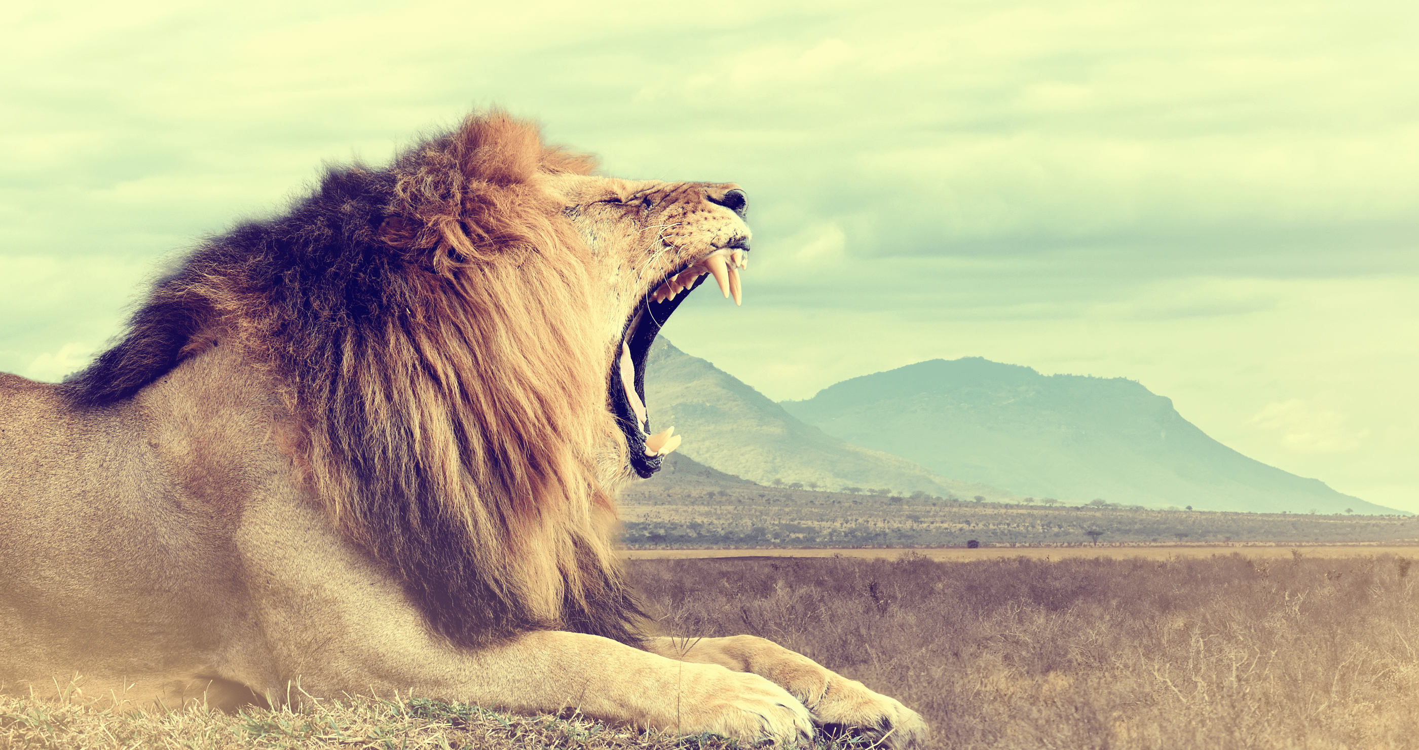 5 Terrifying Animals That Are Not As Dangerous As You May Think - Wide ...