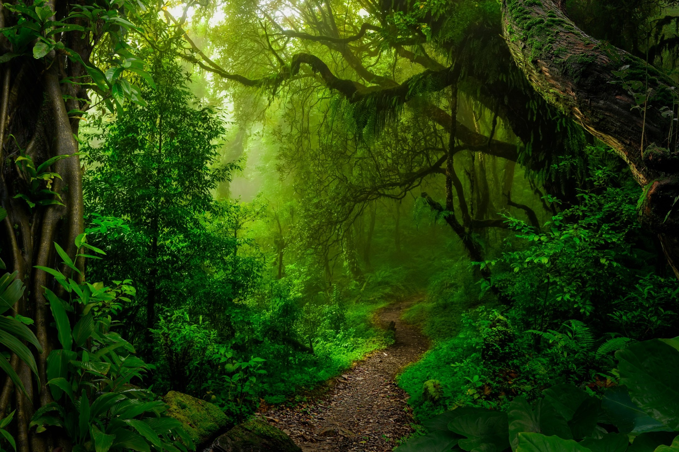 Survival Experts Share Crucial Tips For Surviving That You May Not Know ...