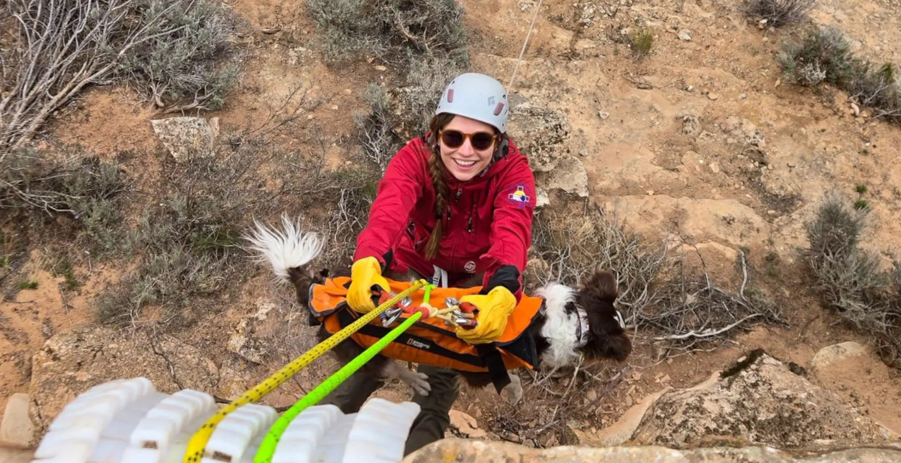 Dog Survives Falling More Than 100 Feet Into A Canyon At Colorado ...