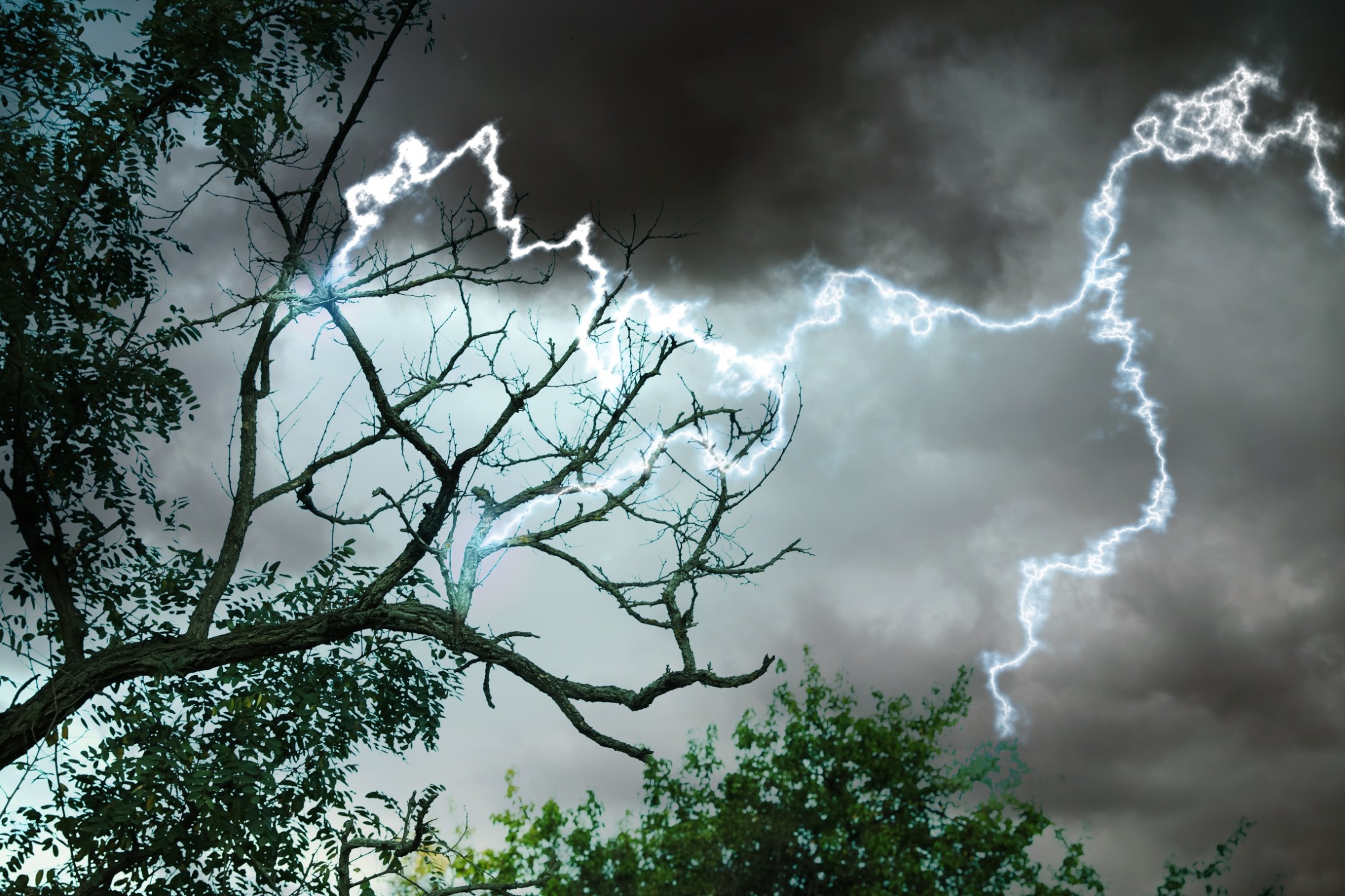 10 Best Ways To Stay Safe During A Severe Thunderstorm - Wide Open Spaces