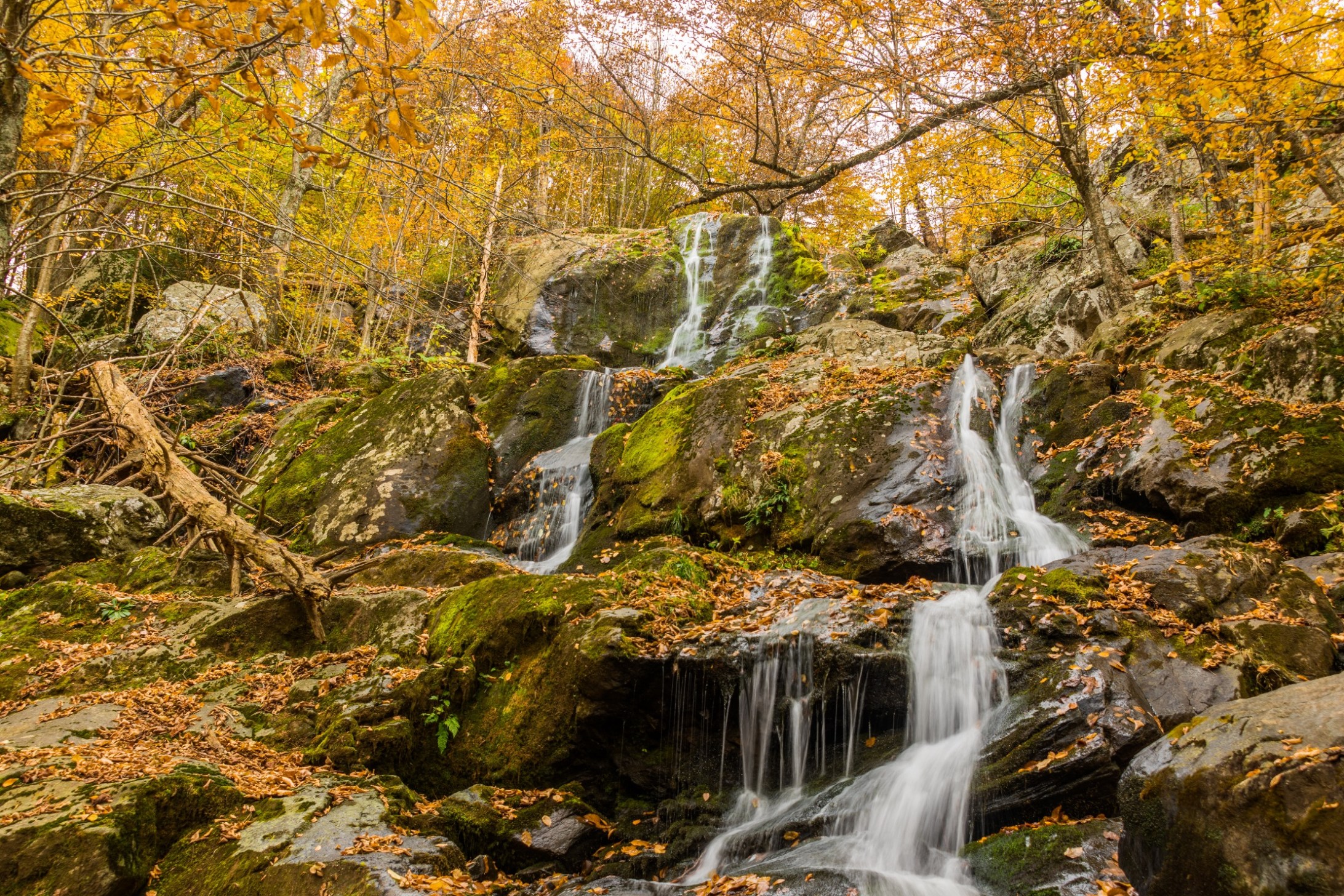 10 Of The Best Places To Hike In Virginia - Wide Open Spaces