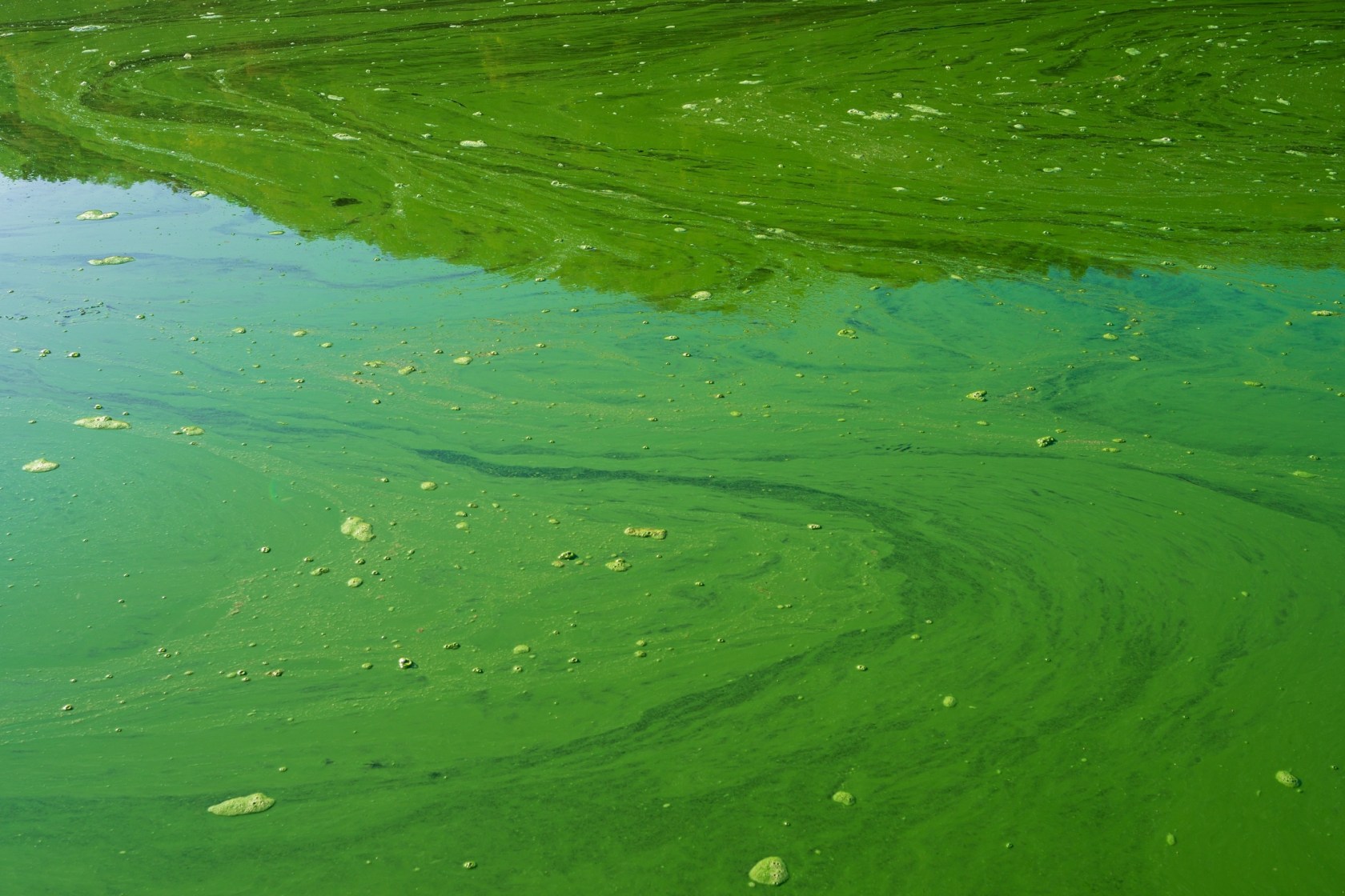 7 Hidden Dangers To Be Wary Of When Visiting A Lake - Wide Open Spaces