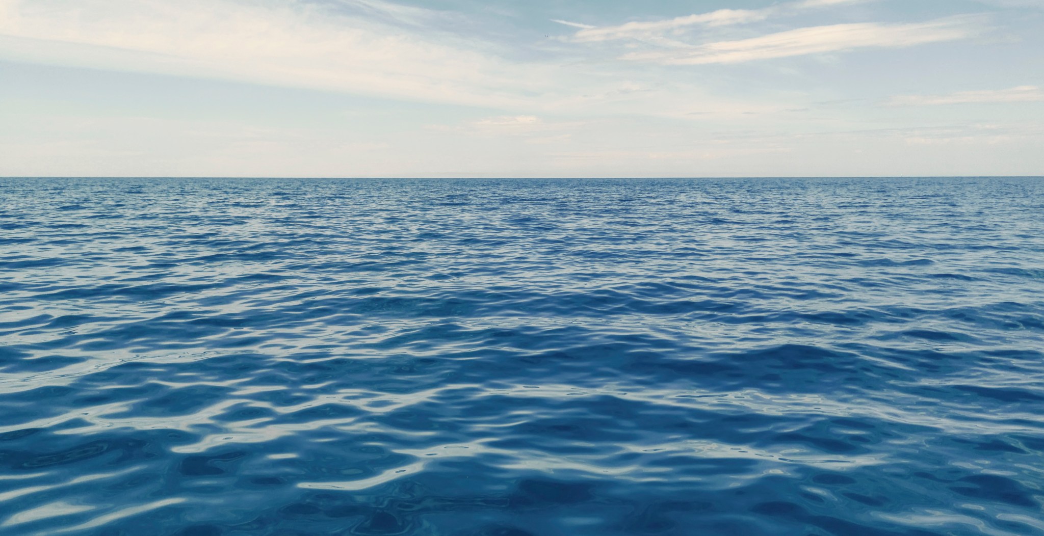 Deep Sea Squid Caught on Camera Alive for the First Time – See Photo ...