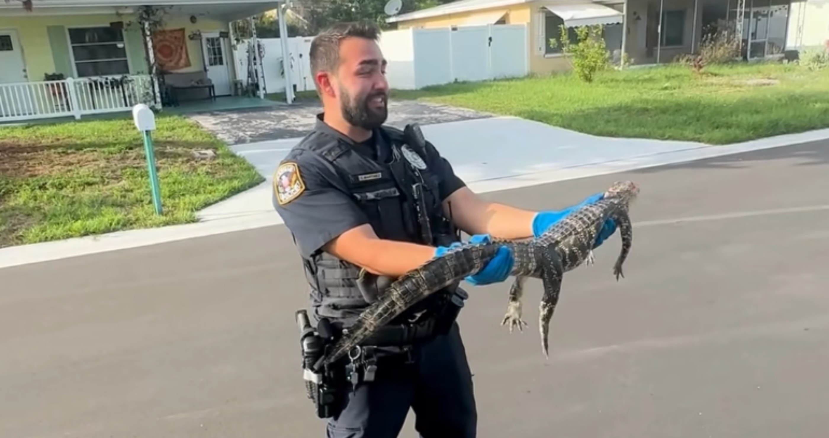 Hilarious Encounter Between New Florida Cop And His First Alligator ...