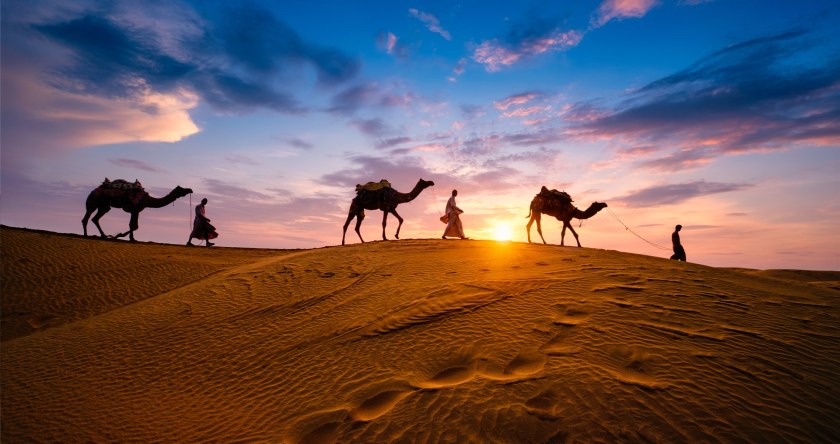 11 Incredible Camel Facts That Are Sure To Blow Your Mind - Wide Open ...