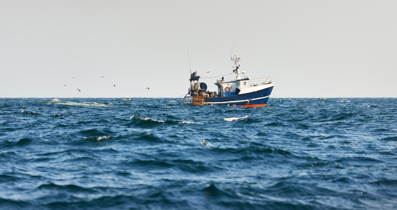 Florida Anglers Catch An Incredibly Rare Moonfish, 'It’s Kind Of Like A ...