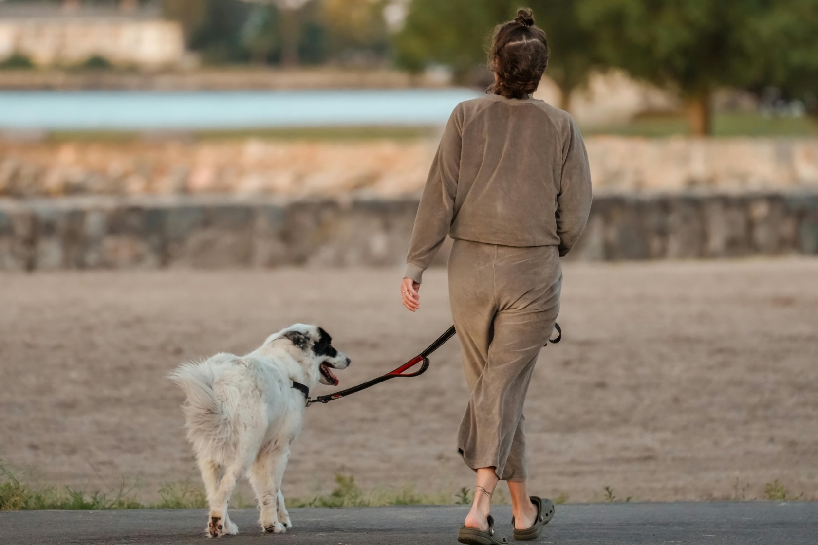 10 Times Dogs Were Absolute Heroes And Saved Their Owners' Lives - Wide ...