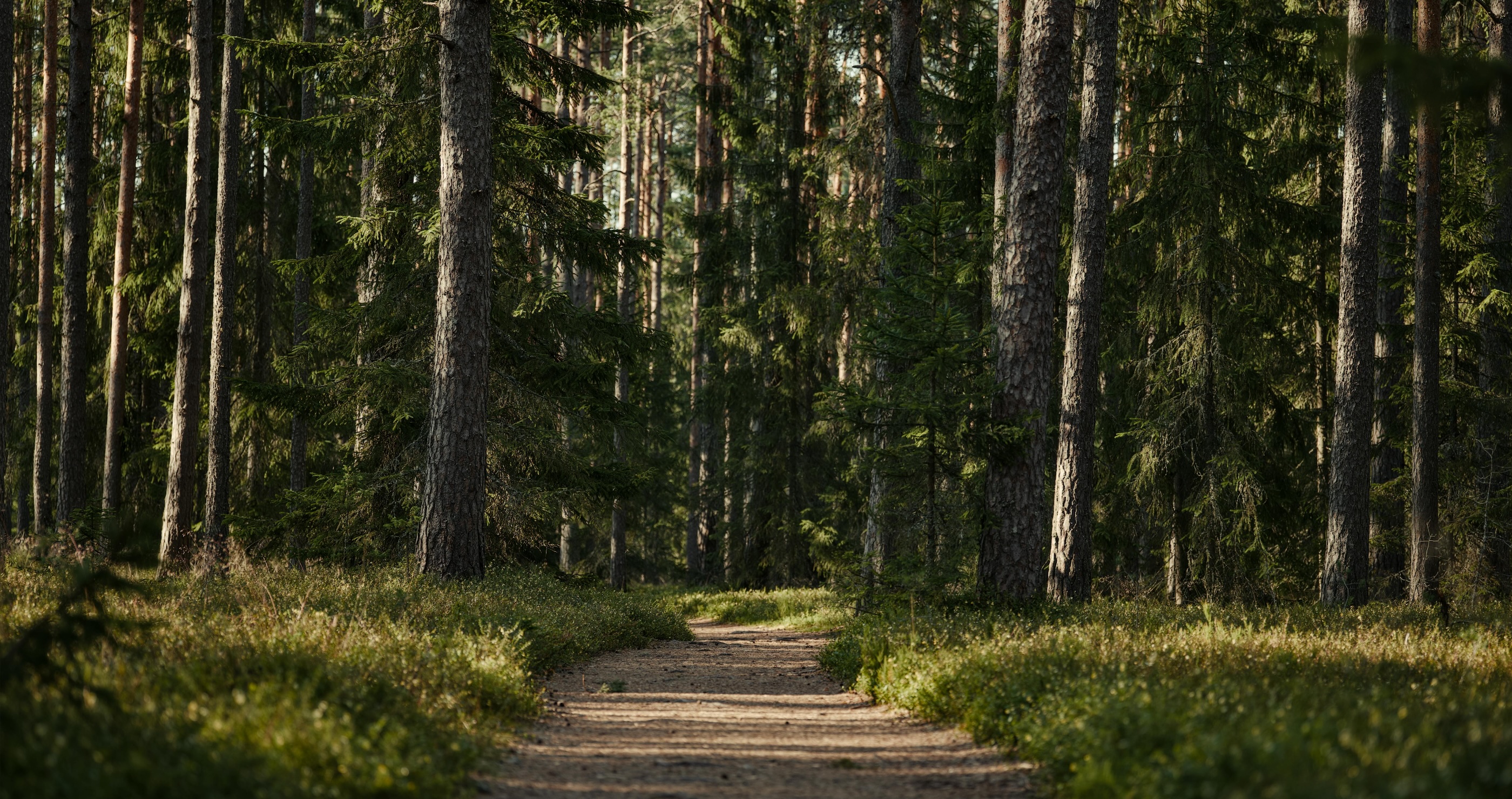 Body Found In Montana Wrongly Reported As Missing Hiker From Wyoming ...