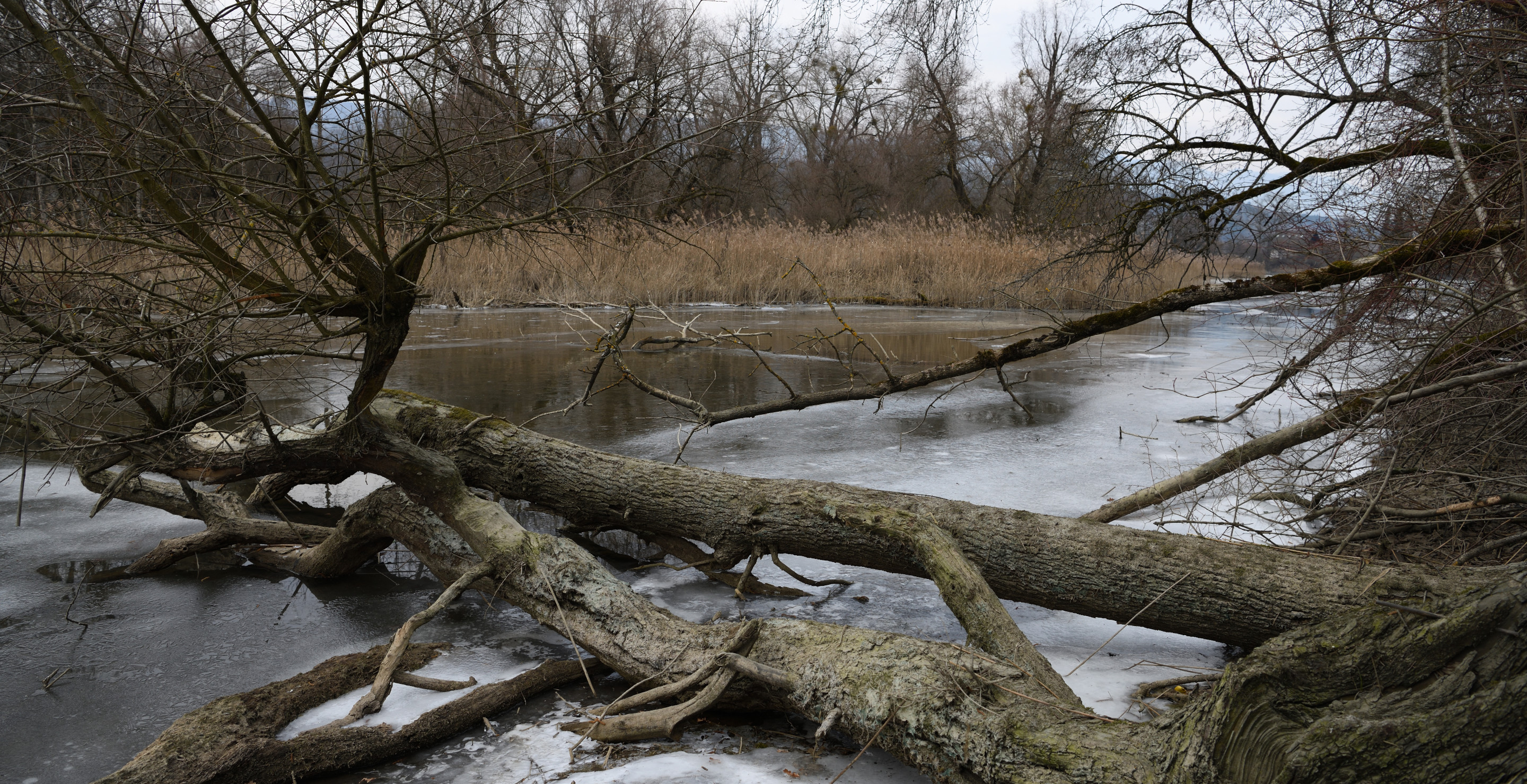 Family Speaks Out After 13-Year-Old Dies After Being Pinned Underwater ...