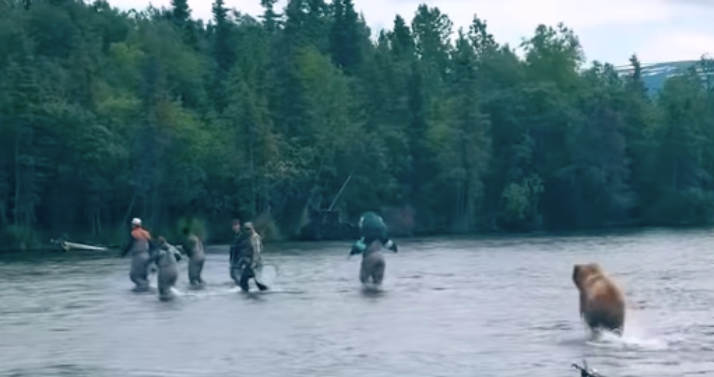 NHL Mascot Has Close Call With A Bear In Alaska While Filming A ...