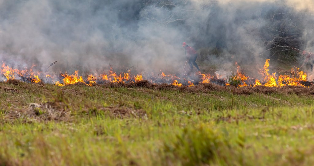 Red Canyon Fire Continues To Spread Prompting More Evacuation Alerts ...