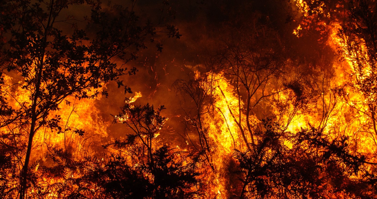 Red Canyon Fire Declared Emergency As It Devastates Ranches And ...