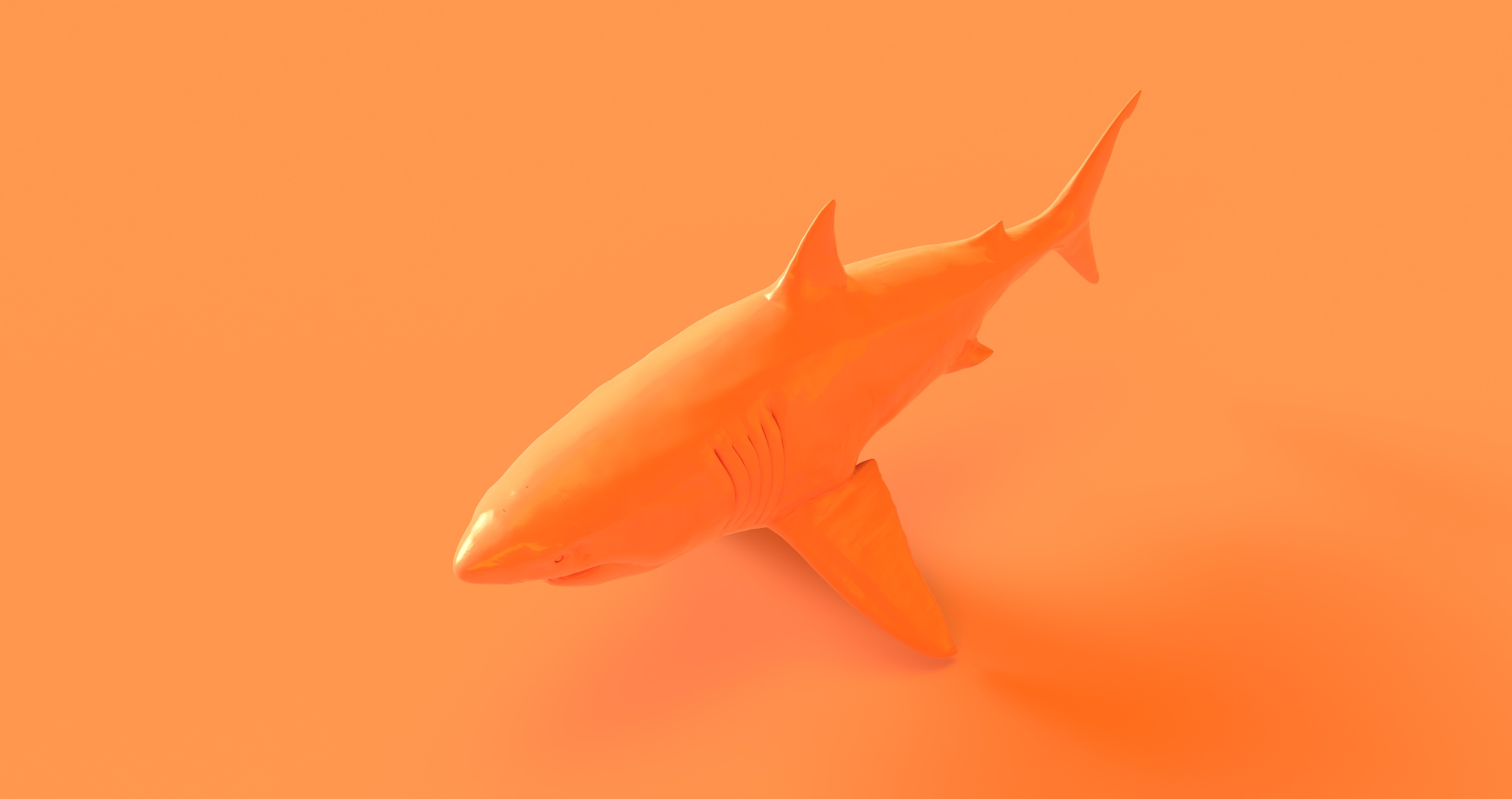 Scientists Surprised To Discover Bright Orange Shark - Wide Open Spaces