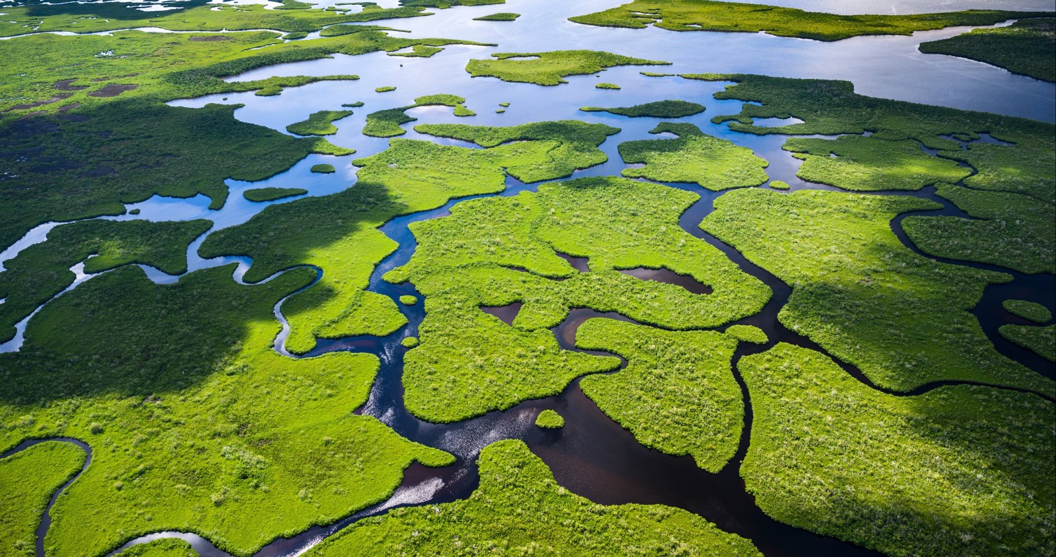 The Results Are In: Woman Wins The 2025 Florida Python Challenge After ...