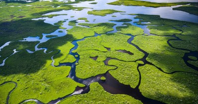 The Results Are In: Woman Wins The 2025 Florida Python Challenge After ...