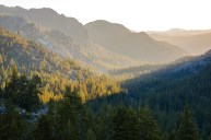 Survival 101: What To Do When You're Lost In The Woods - Wide Open Spaces