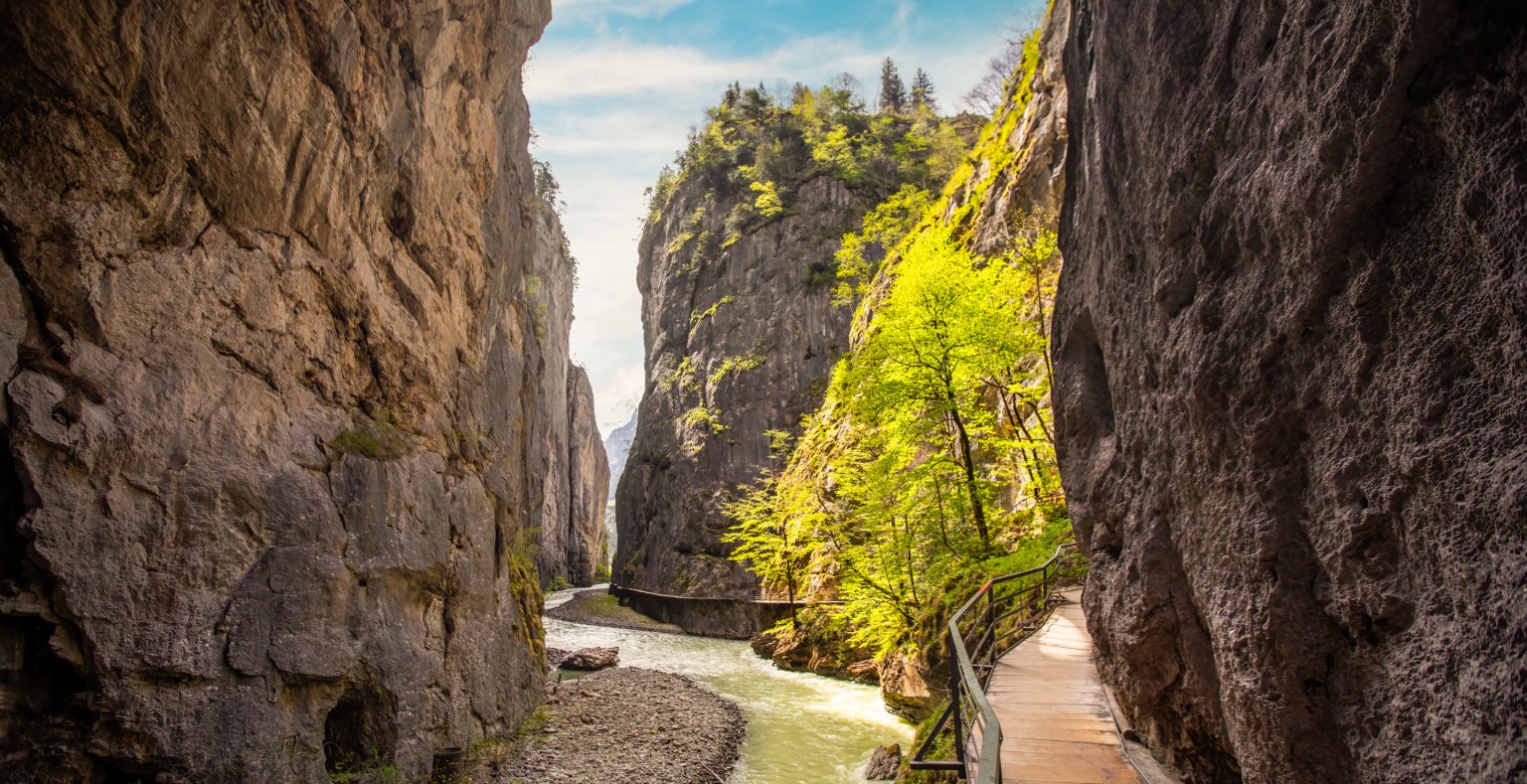 Teen, Who Survived Falling 240 Feet Into Ravine, Speaks Out About How ...