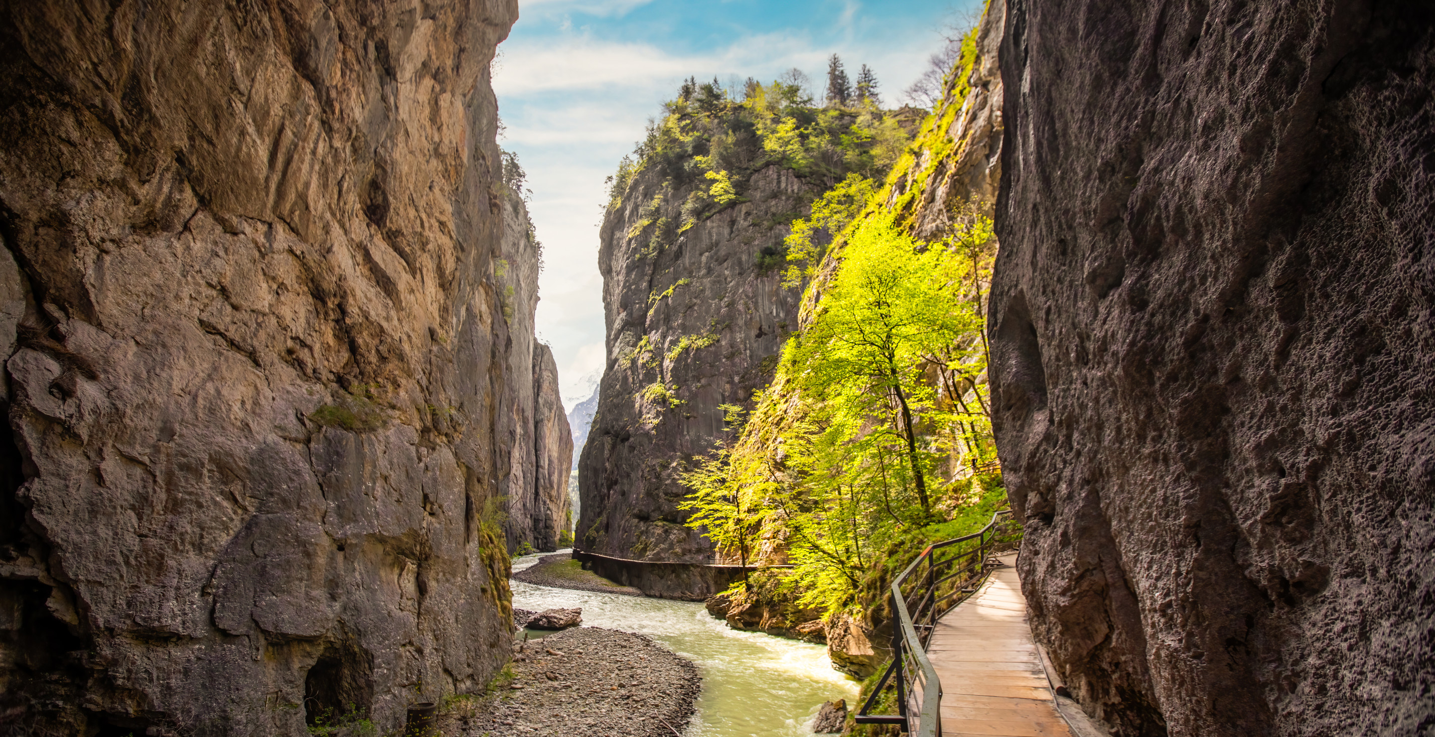 Teen, Who Survived Falling 240 Feet Into Ravine, Speaks Out About How ...