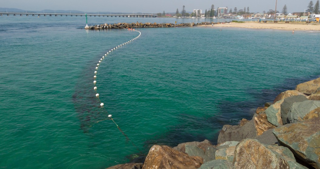 The Truth About Shark Nets And Their Effectiveness - Wide Open Spaces