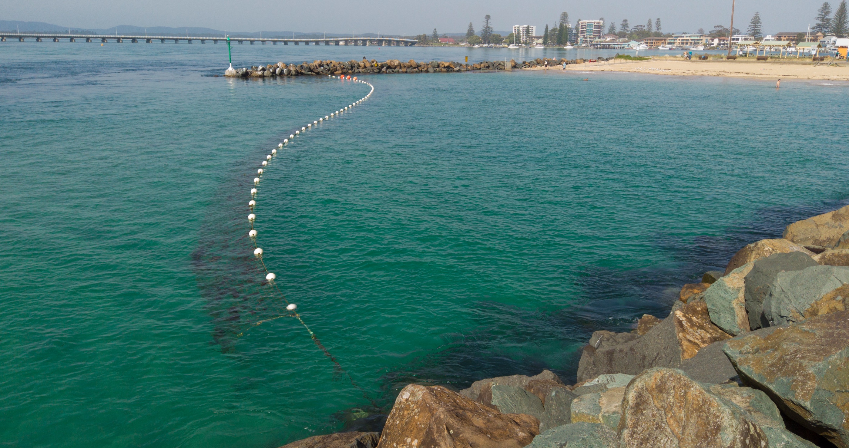 The Truth About Shark Nets And Their Effectiveness - Wide Open Spaces