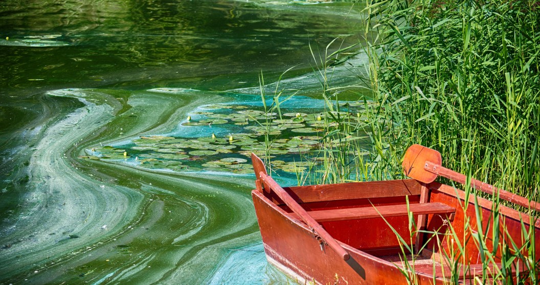 Cambodian Rivers Are Being Poisoned By Toxic Runoff From Nearby Gold ...