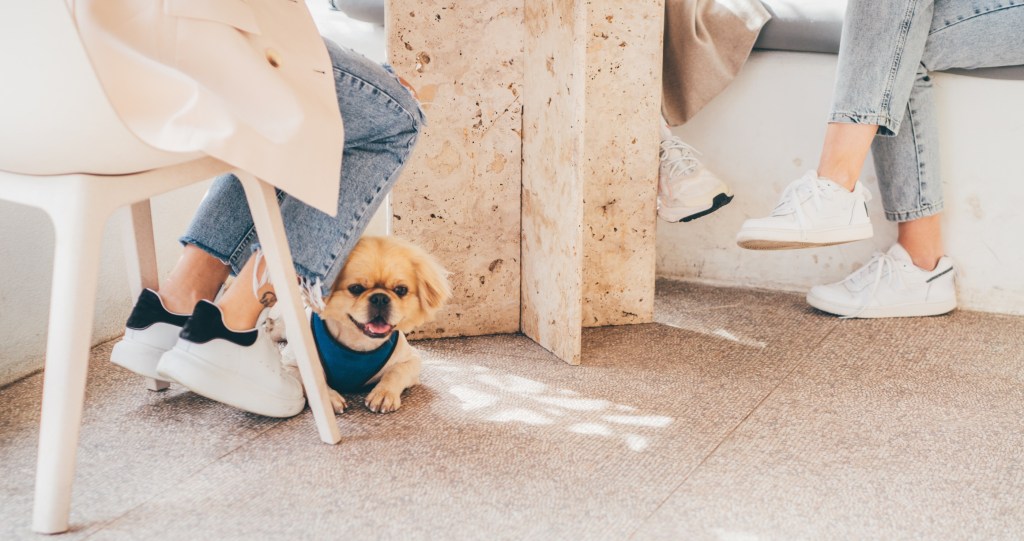 Mother Furious After Restaurant Didn’t Kick Customer Out After Their ...