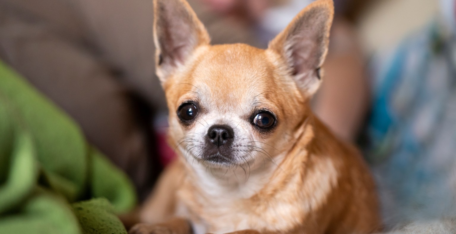 Country Singer Suffers Another Devastating Personal Loss Just Months ...