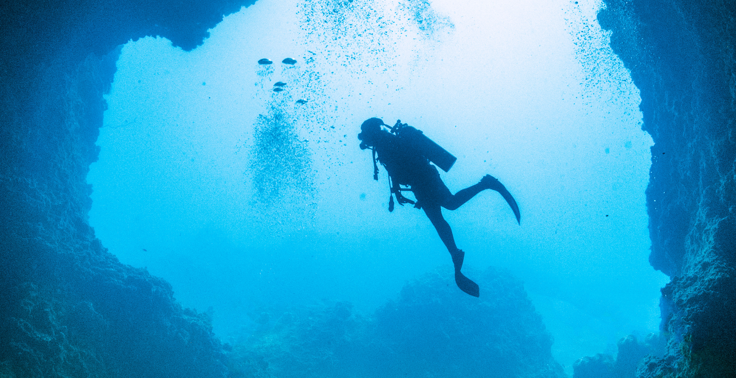 Retired Couple Dies Days Apart After Scuba Diving Tragedy - Wide Open ...