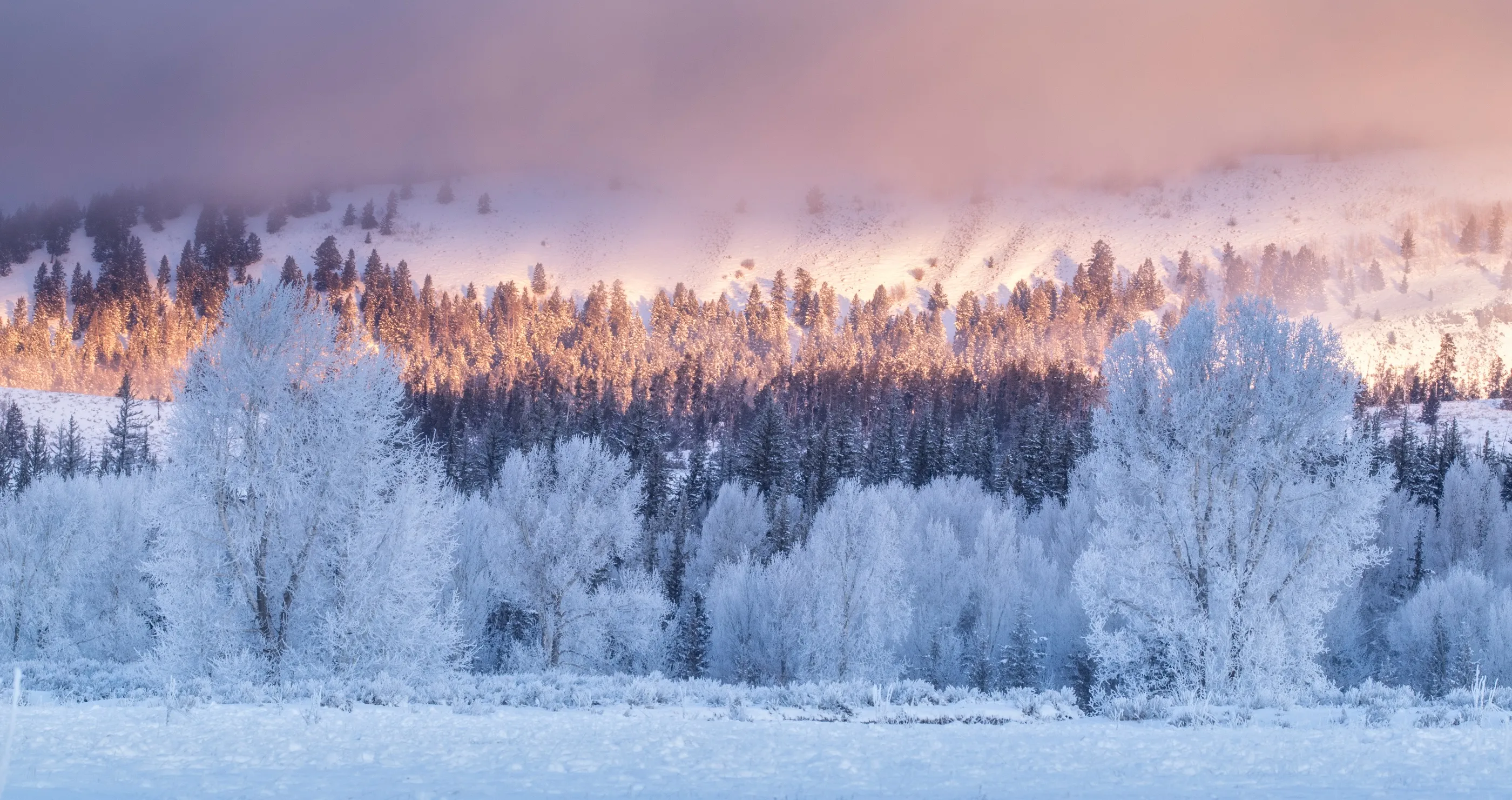 Wyoming's Snowy Range Gets Slammed With 75 Inches Of Snow - Wide Open ...