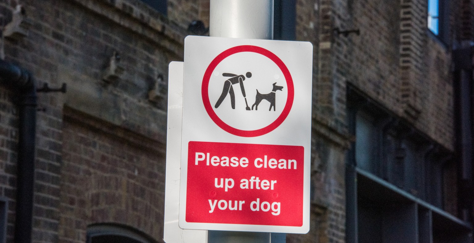 Apartment Complex Conducts DNA Testing To See Who Keeps Leaving Dog ...