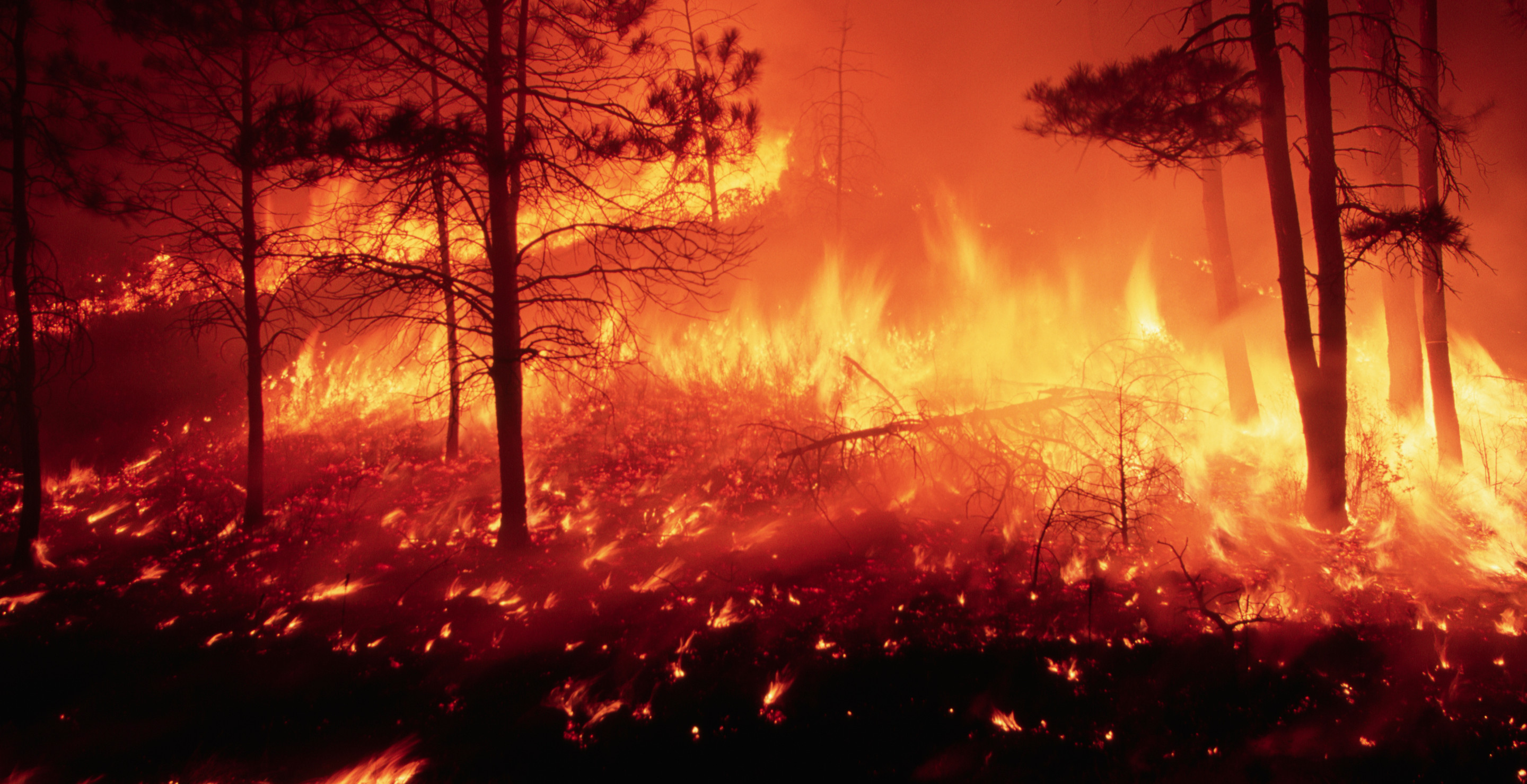 Family Demands Answers After Teen Dies In Large Brush Fire - Wide Open ...